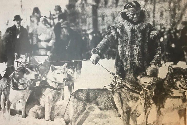 The Truth About Togo: What They Didn’t Tell You About The Amazing Dog ...