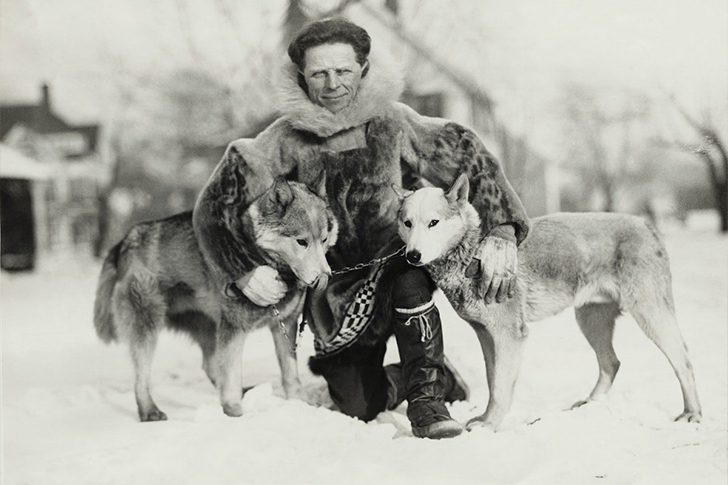 The Truth About Togo: What They Didn’t Tell You About The Amazing Dog ...